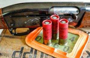 Shotgun Slugs 101: What They Are and How to