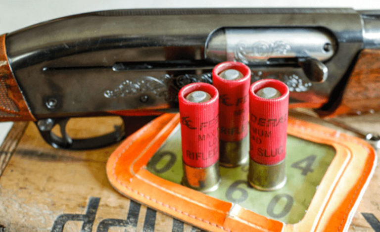 Shotgun Slugs 101: What They Are and How to